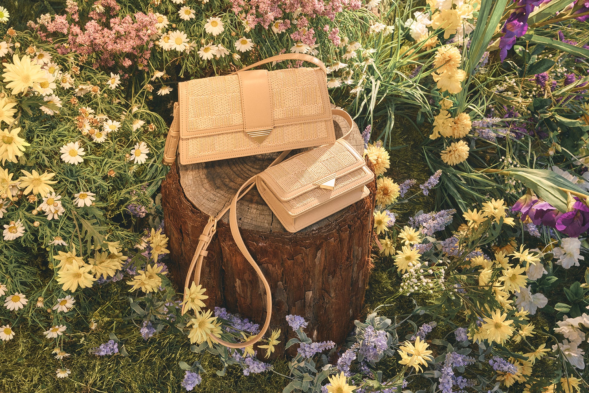 Jenine – Aldo Pakistan